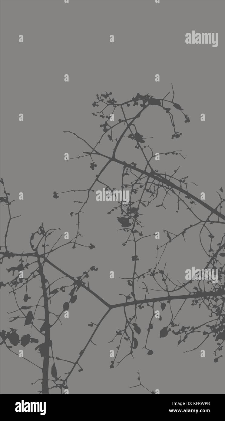 Silhouettes of Trees on subtle background. Tree Pattern. Vector ...