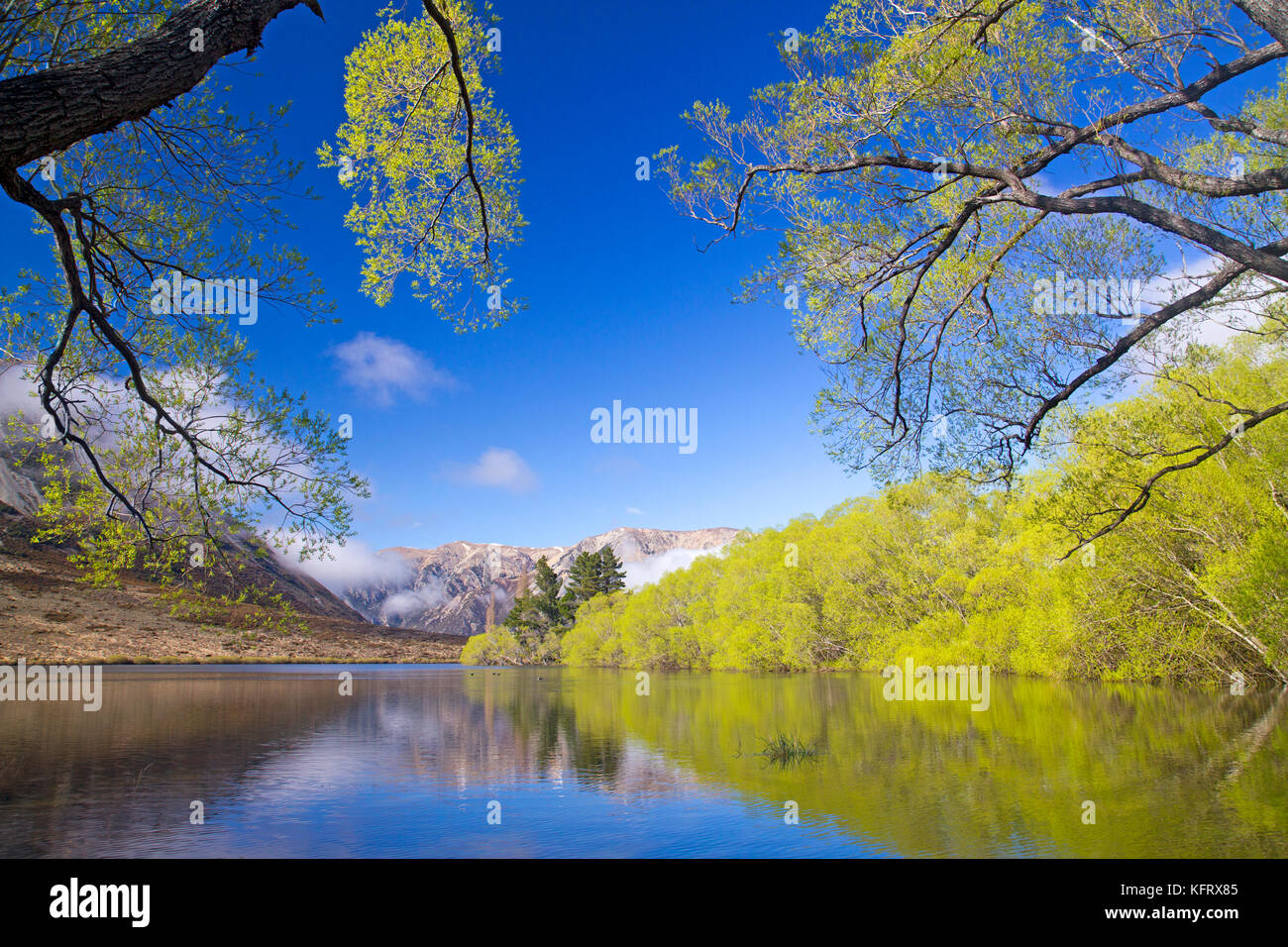 Lake Pearson/Moana Rua near Arthur's Pass Stock Photo - Alamy