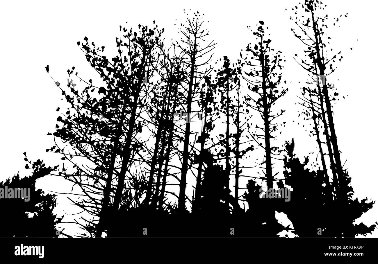 Silhouettes of Trees on subtle background. Tree Pattern. Vector ...