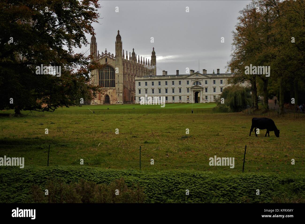Cambridge gothic architecture hi-res stock photography and images - Alamy