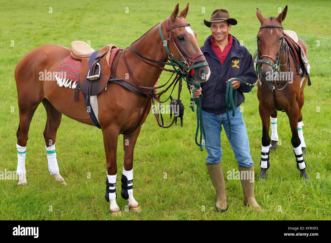 Martin Ephson with his polo ponies 'Vampiro' (white spot on head and ...
