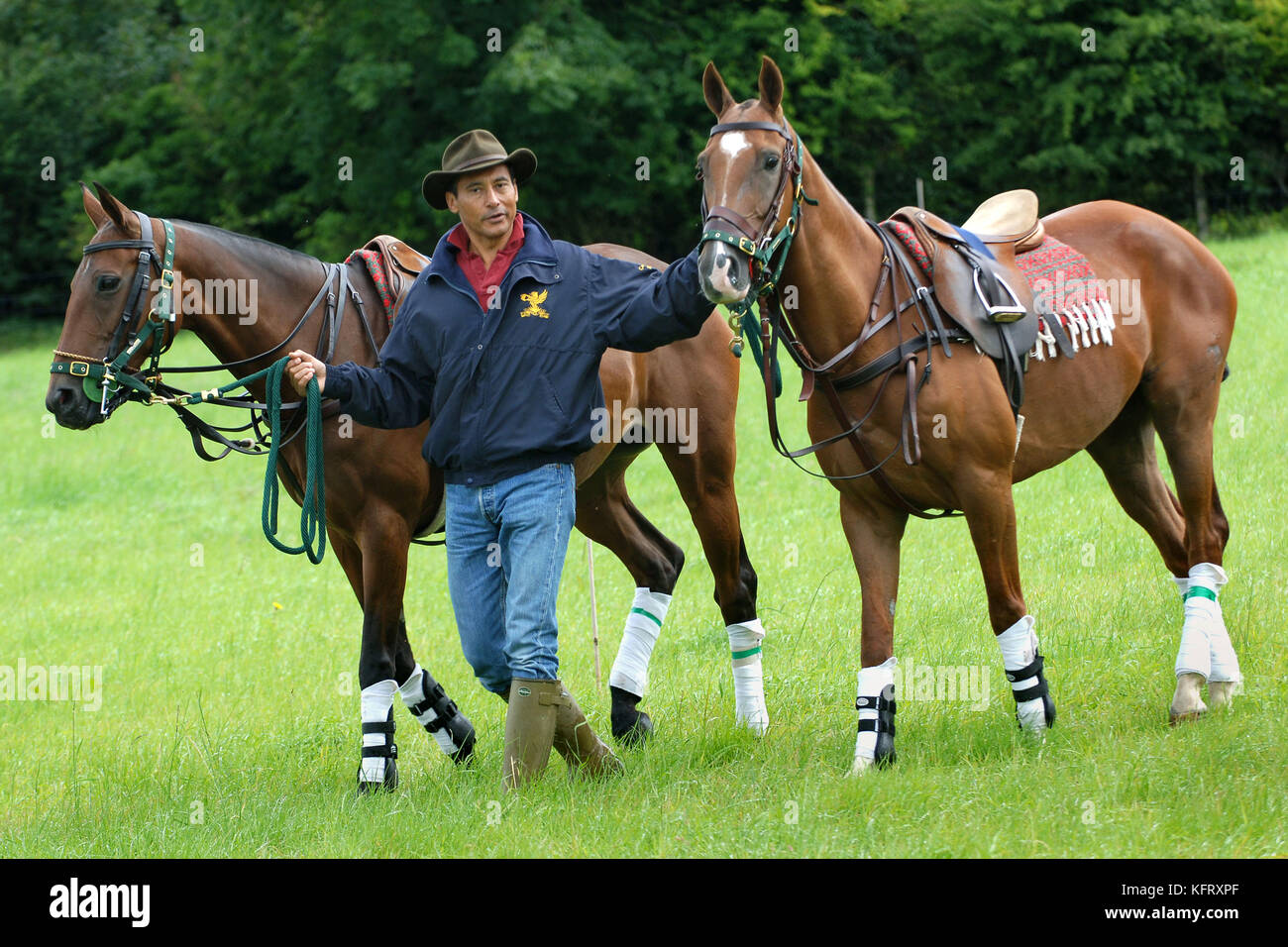 Martin Ephson with his polo ponies 'Vampiro' (white spot on head and ...