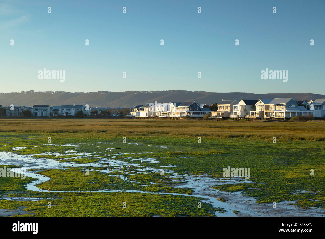 Houses on Thesen Island, Knysna, Western Cape, South Africa Stock Photo ...