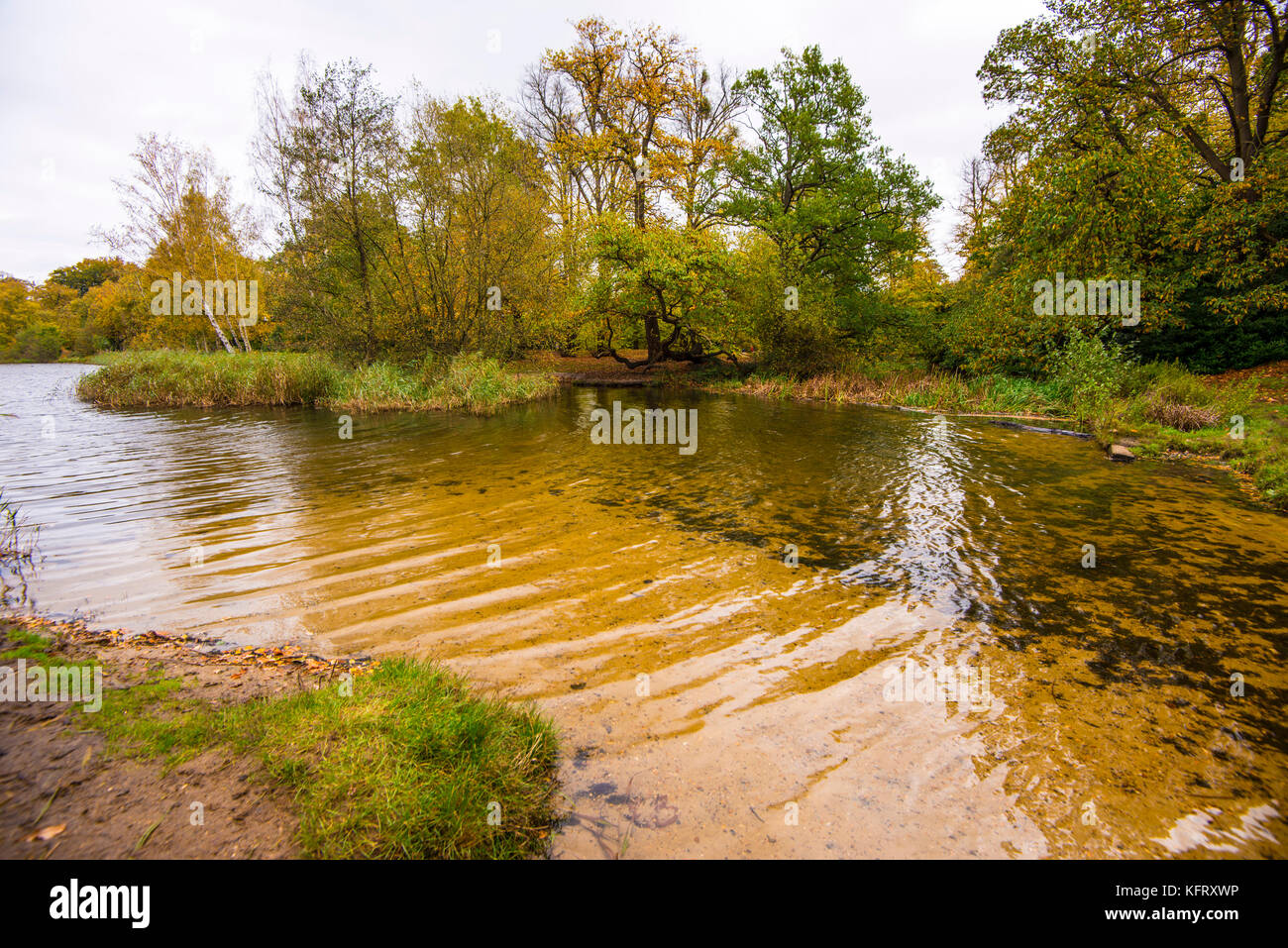 Virginia water cascade hi-res stock photography and images - Alamy