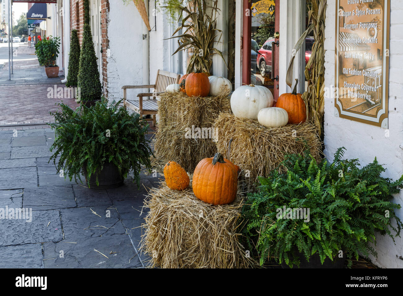 Savannah georgia square autumn hi-res stock photography and images - Alamy
