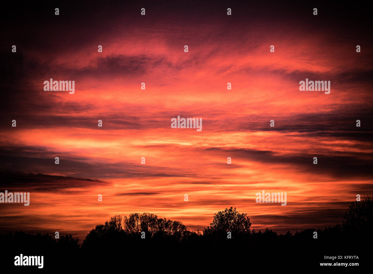 Red sunset tree hi-res stock photography and images - Alamy