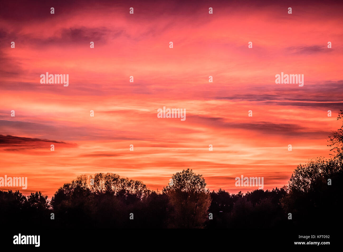 Red sunset tree hi-res stock photography and images - Alamy