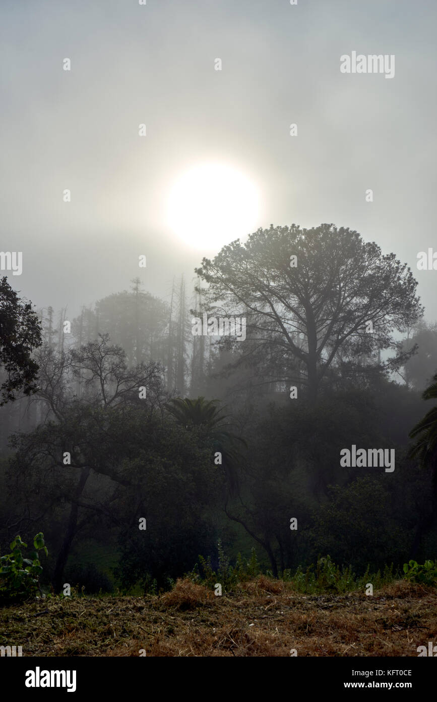Marine layer clouds High Resolution Stock Photography and Images - Alamy