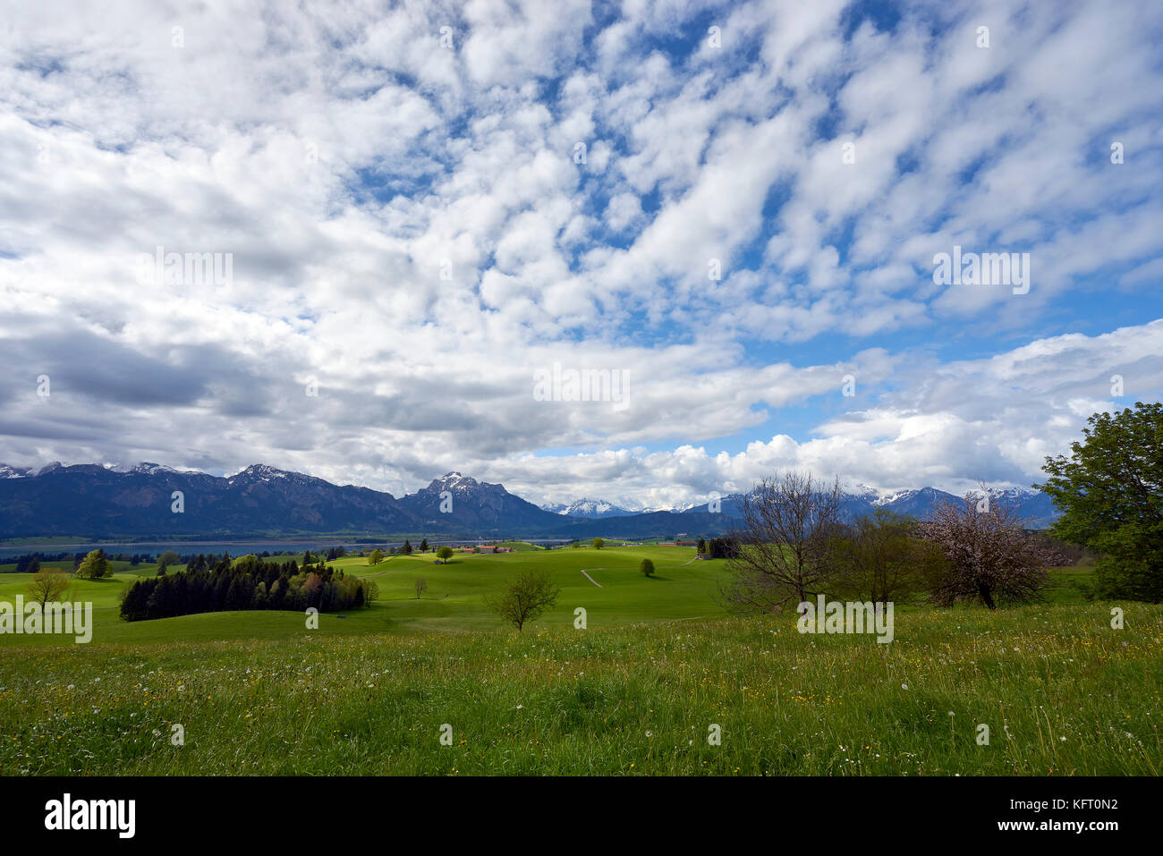 Rich green pastures hi-res stock photography and images - Alamy