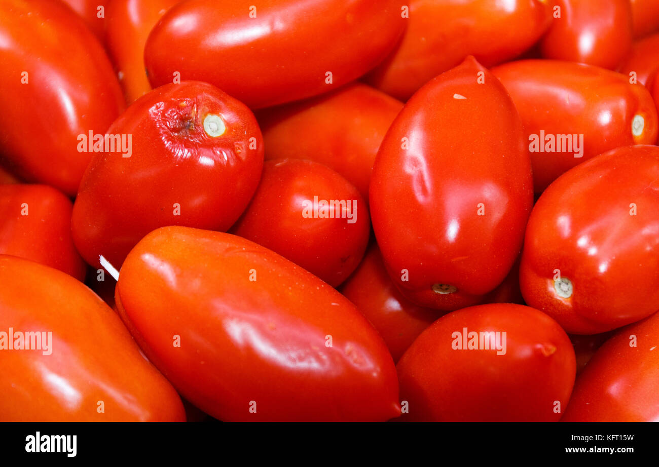 Juicy italian red tomatoes hi-res stock photography and images - Alamy