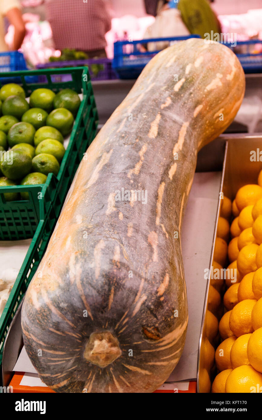 Giant pumpkin and elongated shape Stock Photo - Alamy