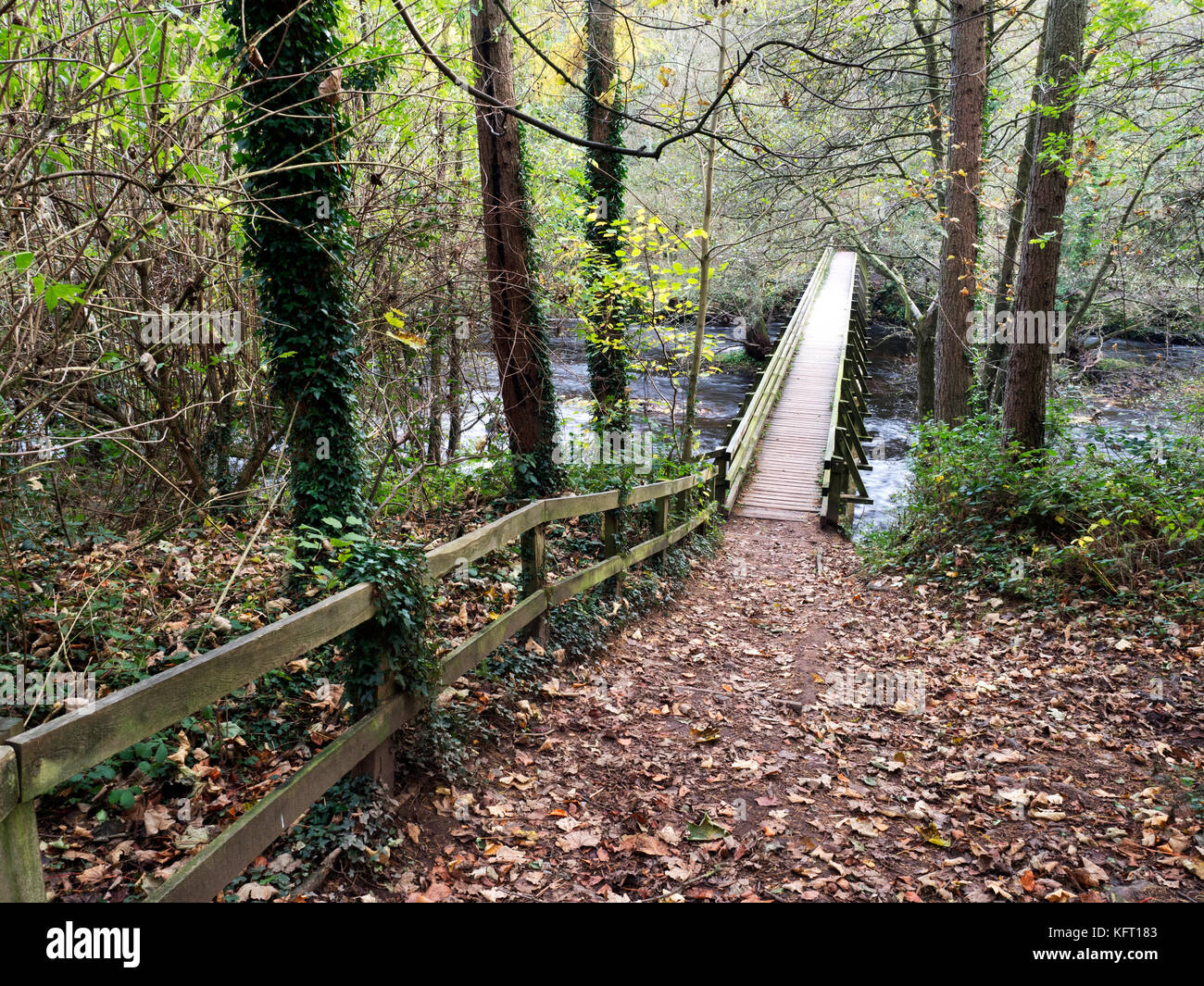 Burgess Bridge over the River Nidd in Nidd Gorge Woods in Autumn ...