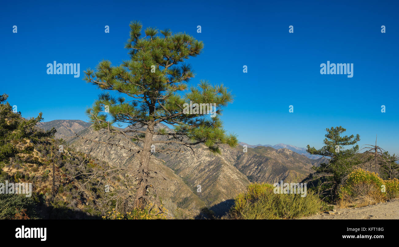 Weddingangeles crest hi-res stock photography and images - Alamy