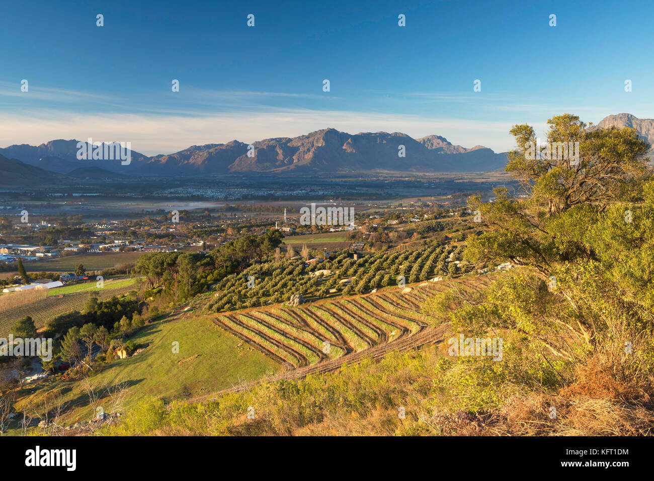Paarl Valley at sunrise, Paarl, Western Cape, South Africa Stock Photo ...