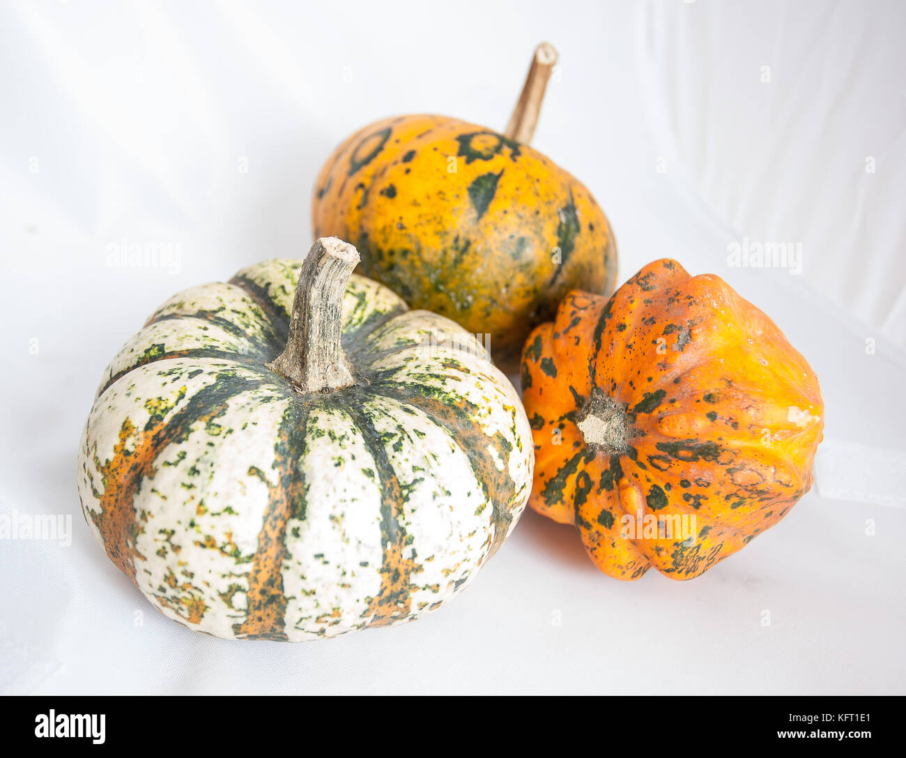Three small fresh decorative pumpkins in studio on white background ...