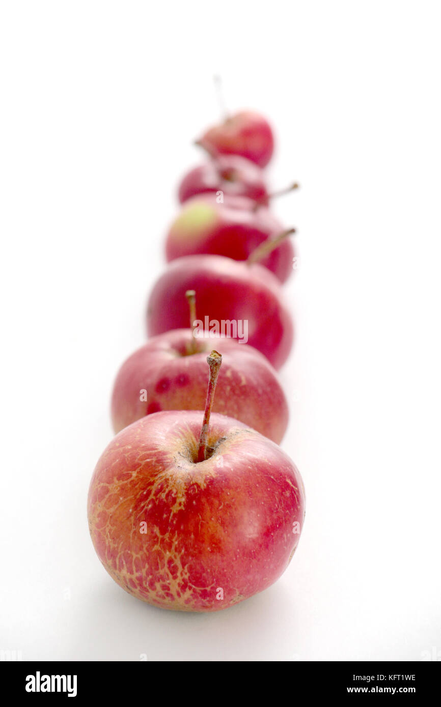 Several organic apples , big to small, on white background,shallow dof ...