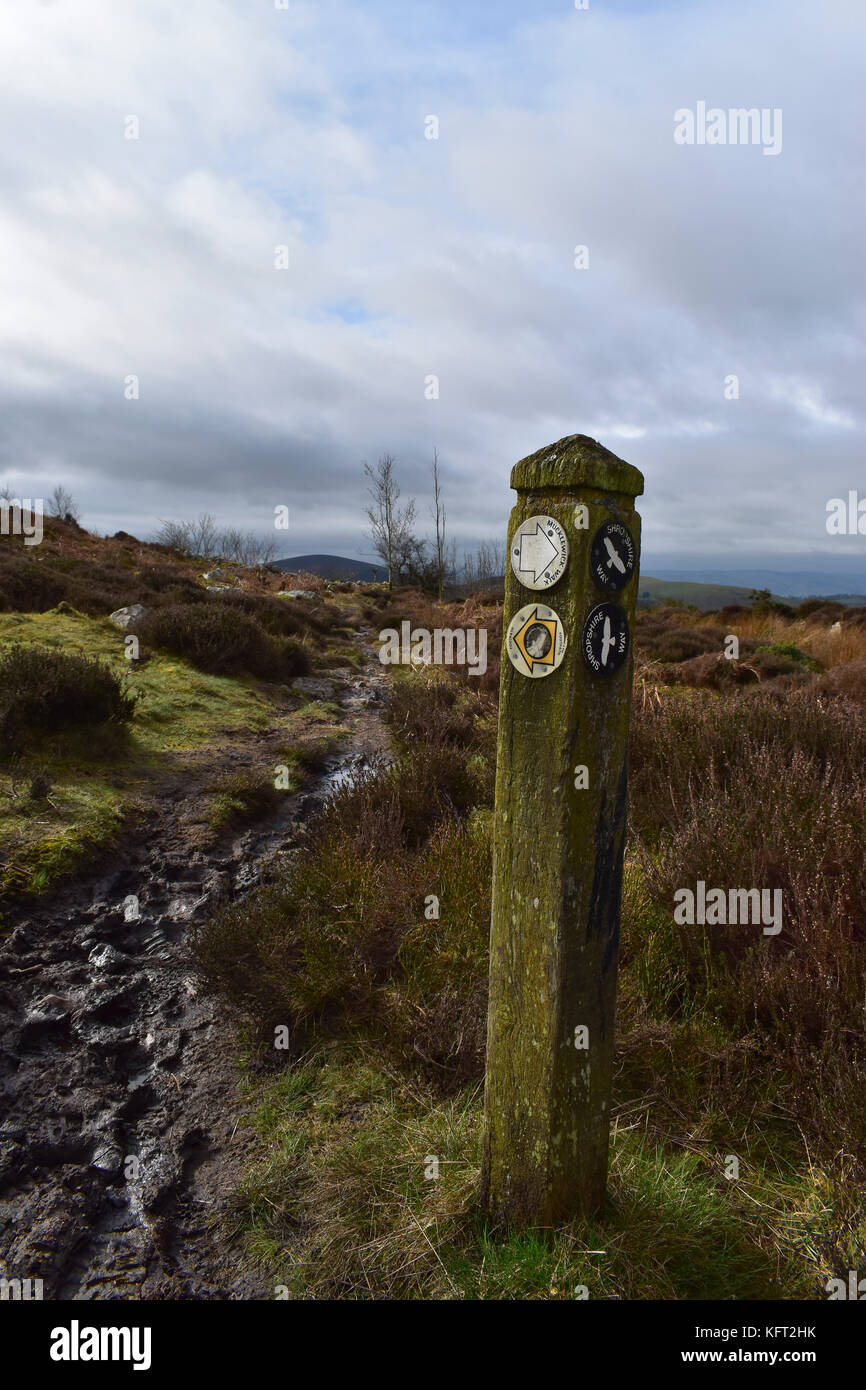 Post showing the direction of the Shropshire Way and Mucklewick Walk ...