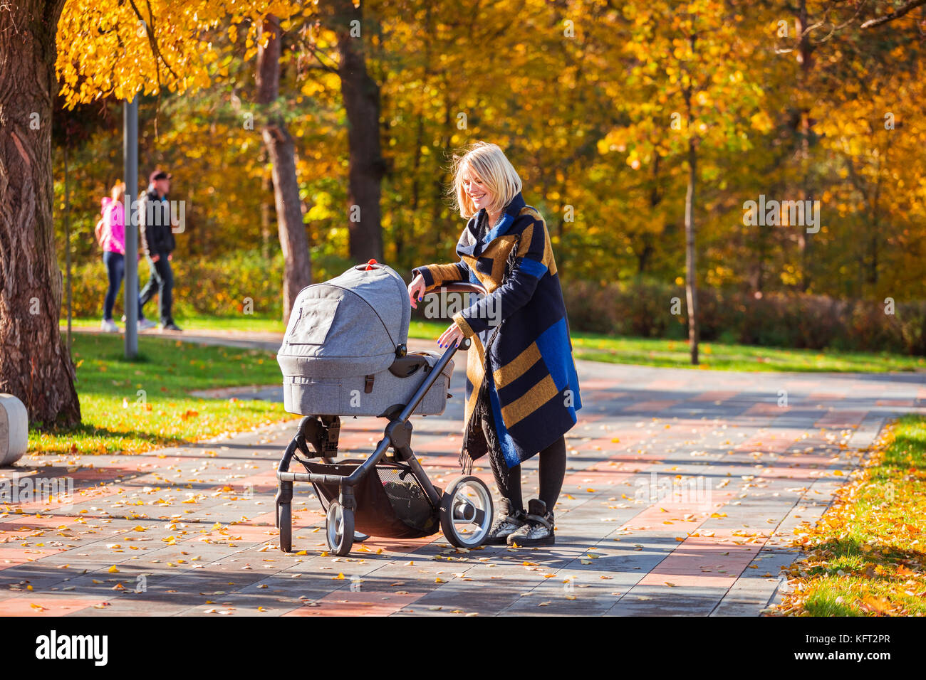 A young mother with a stroller walks through the autumn park Stock ...