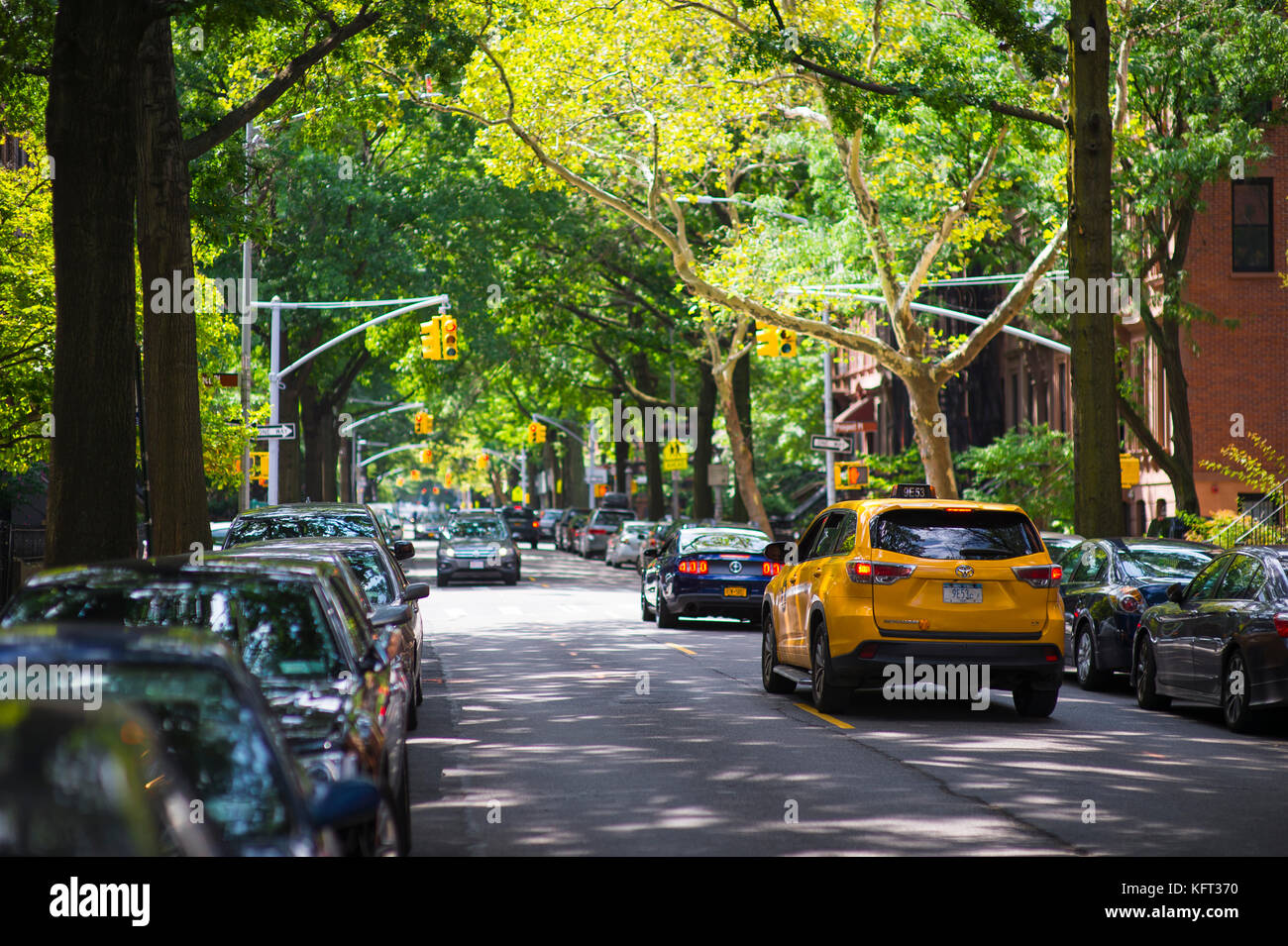 NEW YORK CITY - AUGUST 27, 2017: A NYC yellow cab drives along a leafy ...