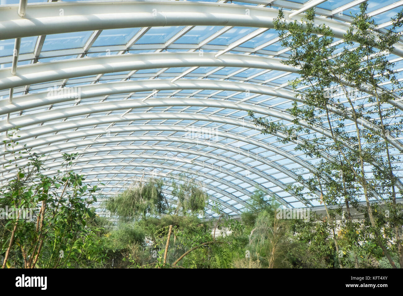 Largest glasshouse in europe hi-res stock photography and images - Alamy Largest glasshouse in europe hi-res stock photography and images - Alamy