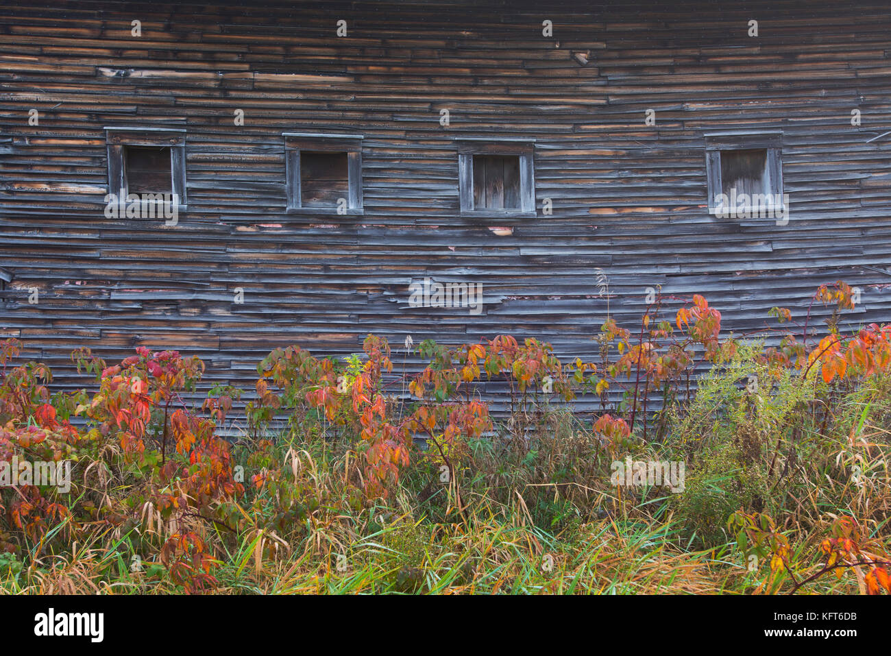Side of an old barn (1800's) on a farm in rural Moretown, Vermont, USA ...