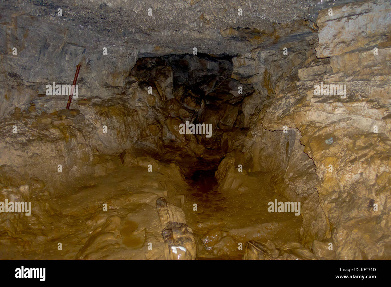 Bat cave inside hi-res stock photography and images - Alamy