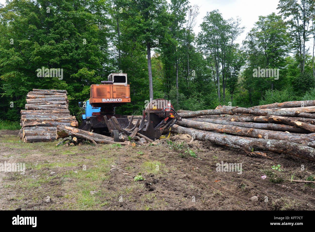 Logging Operation Stock Photos & Logging Operation Stock Images - Alamy