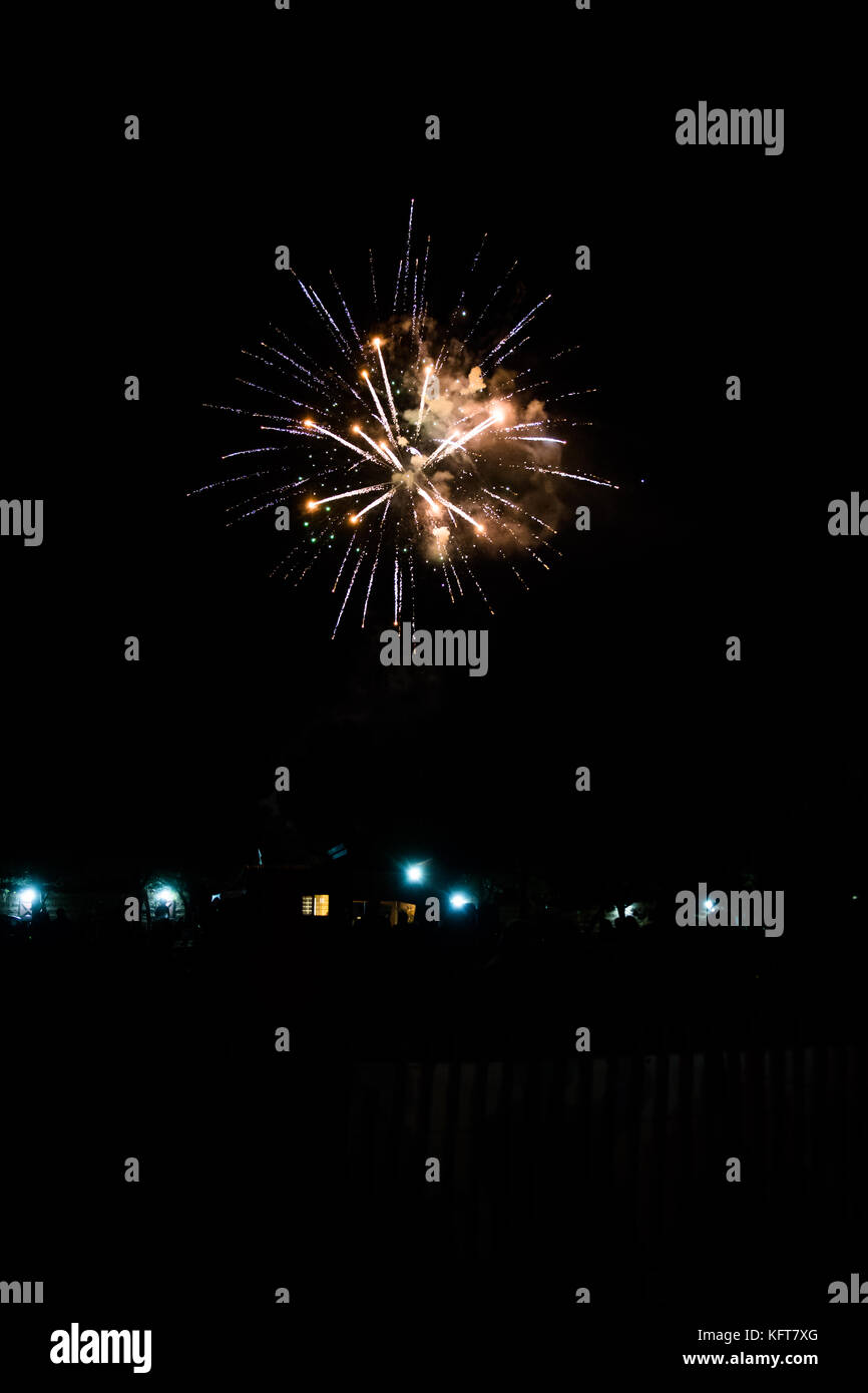Fireworks in night sky Stock Photo - Alamy
