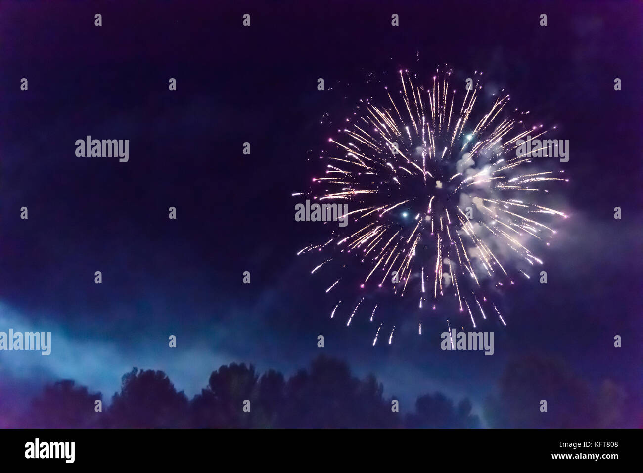 Fireworks in night sky Stock Photo - Alamy