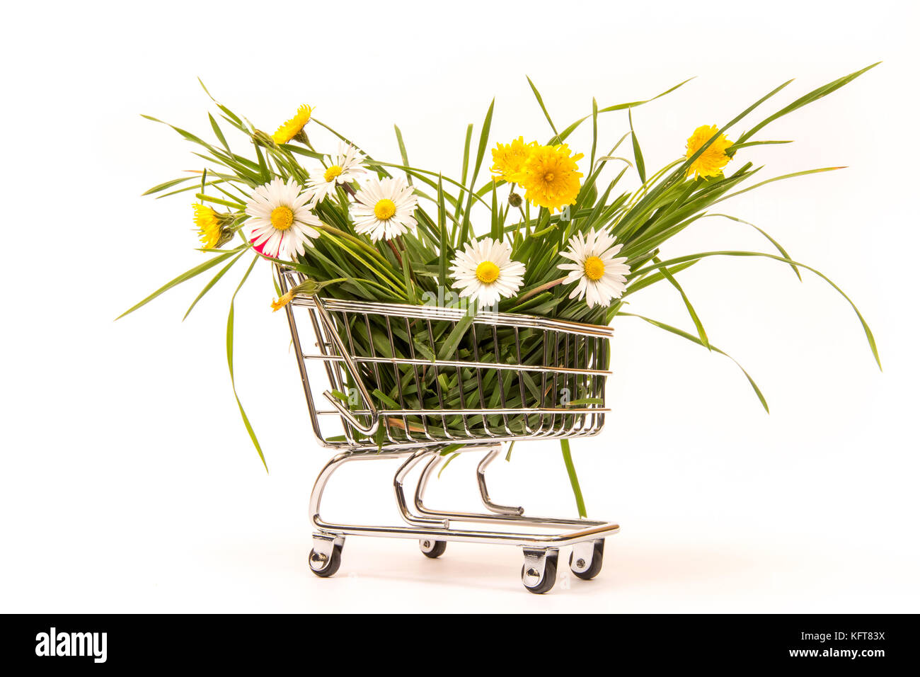 Cart with grass and flowers. Spring purchases concept Stock Photo - Alamy