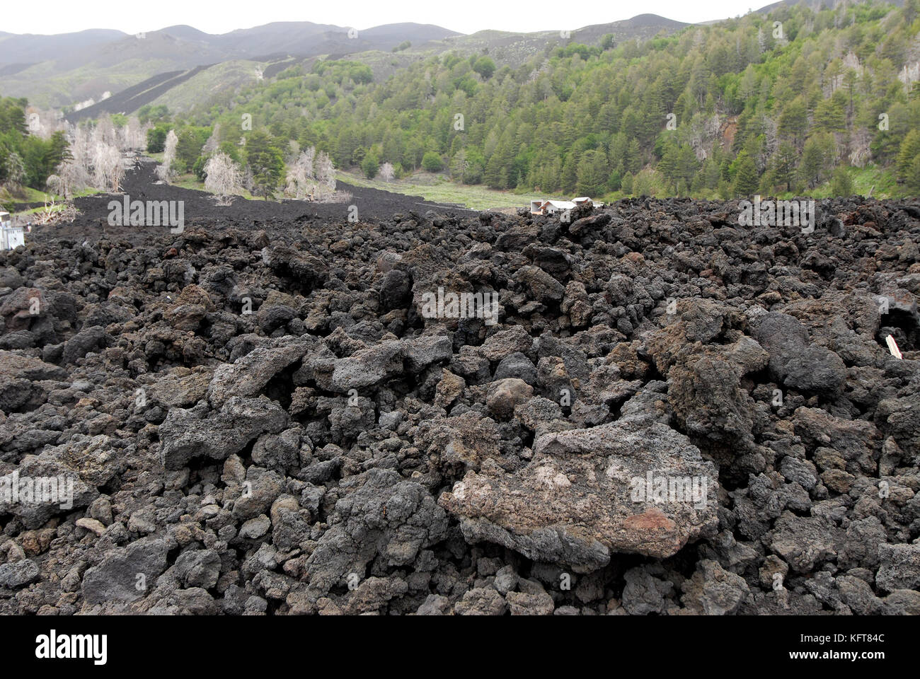Old lava flow, on the slopes of the volcano Etna, in Sicily. A river of ...