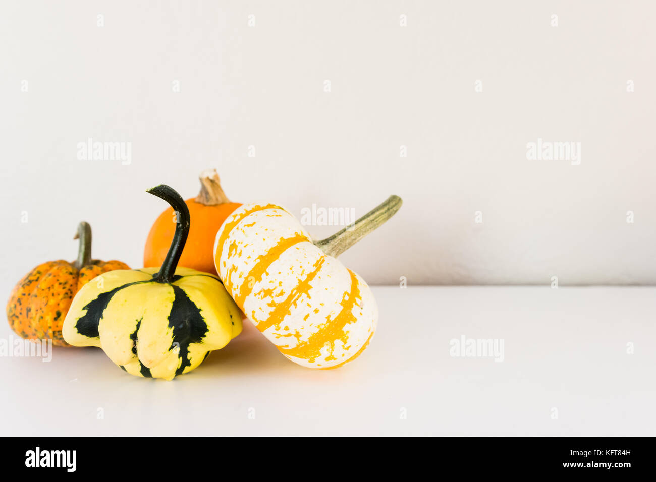 Cluster of fall pumpkins, squash and gourds on clean neutral background ...