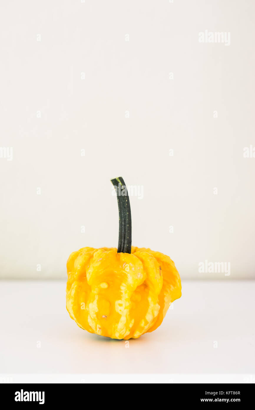 Bumpy pumpkin hi-res stock photography and images - Alamy