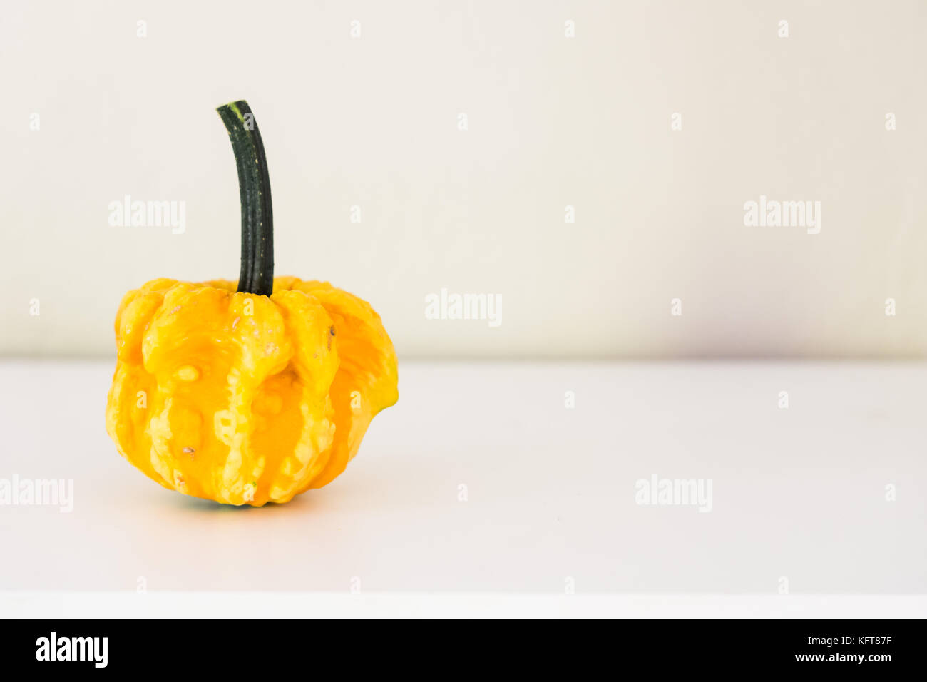 Small, orange striped, bumpy pumpkin or squash on clean neutral ...