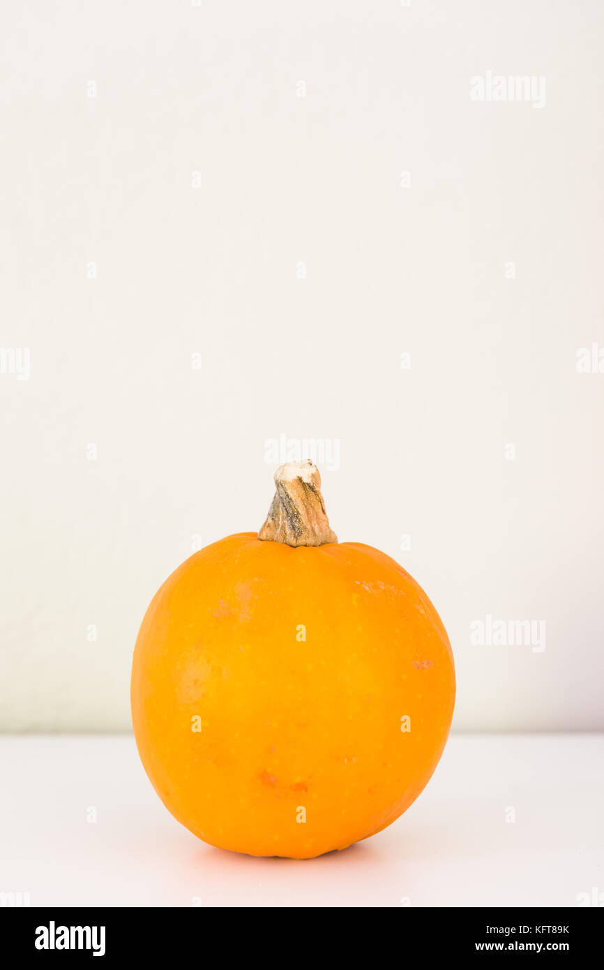 Round small pumpkin isolated on hi-res stock photography and images - Alamy