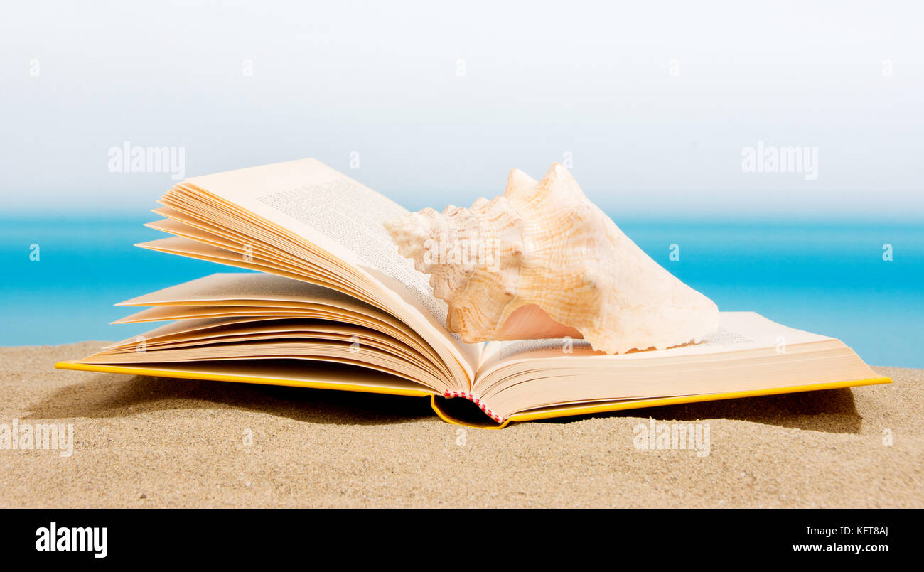 Summer reading stack beach hi-res stock photography and images - Alamy