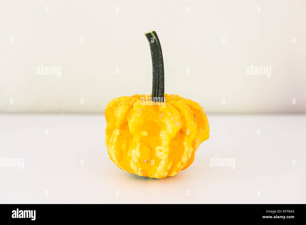 Small, orange striped, bumpy pumpkin or squash on clean neutral ...
