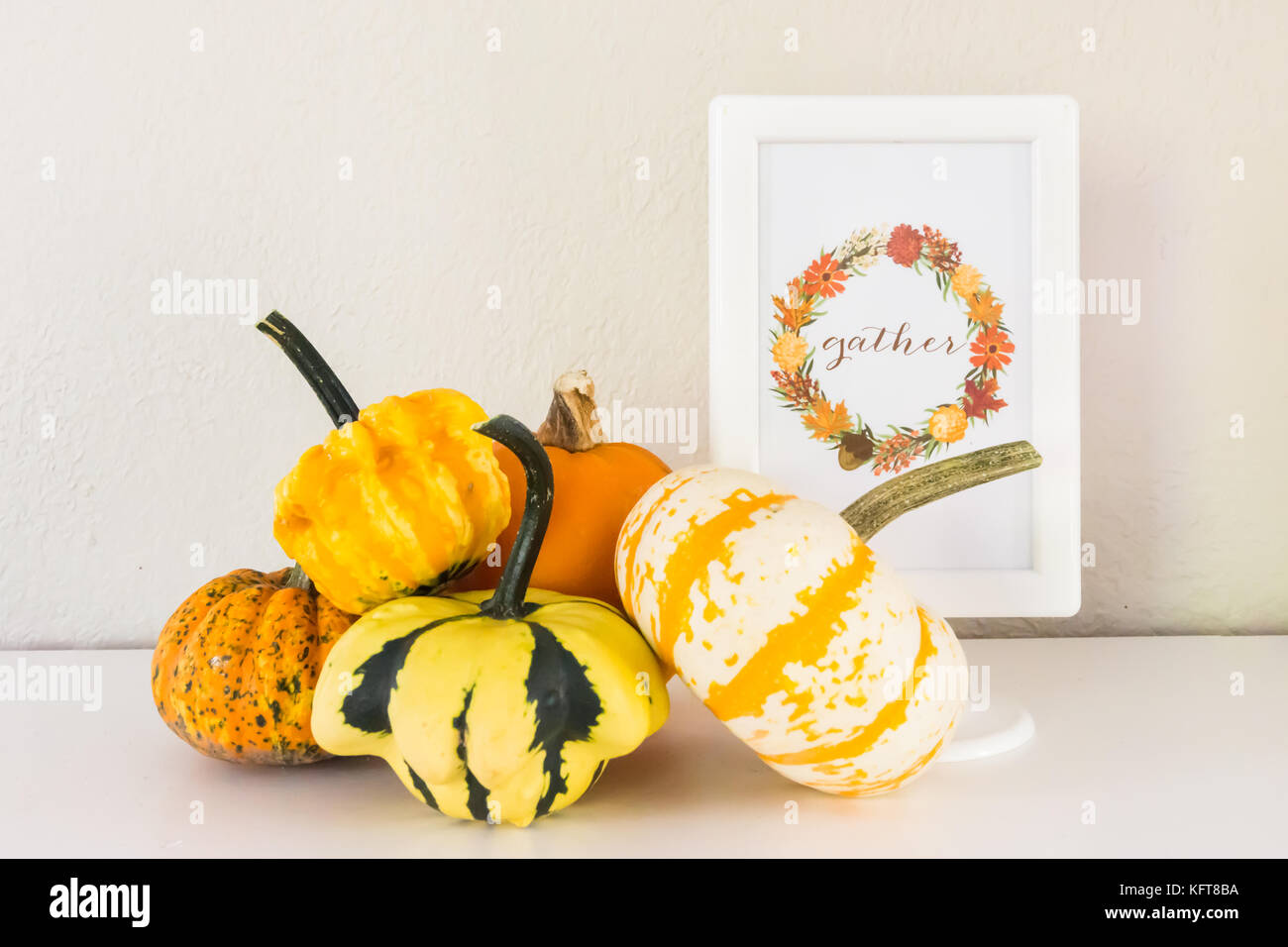 Gather sign with cluster of fall pumpkins, squash, and gourds on clean ...