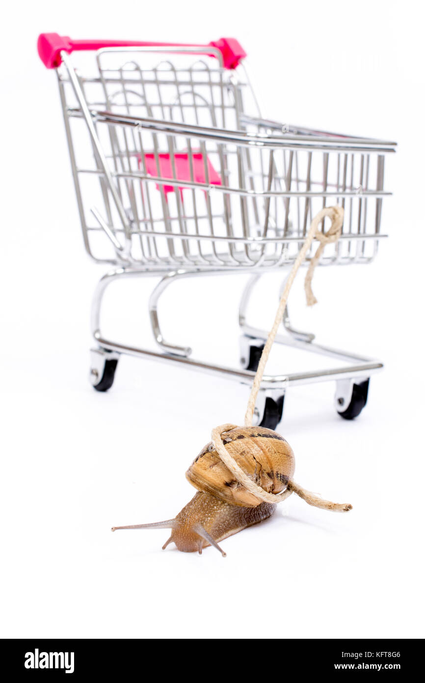 Slow shopping concept. Snail pull a cart Stock Photo - Alamy