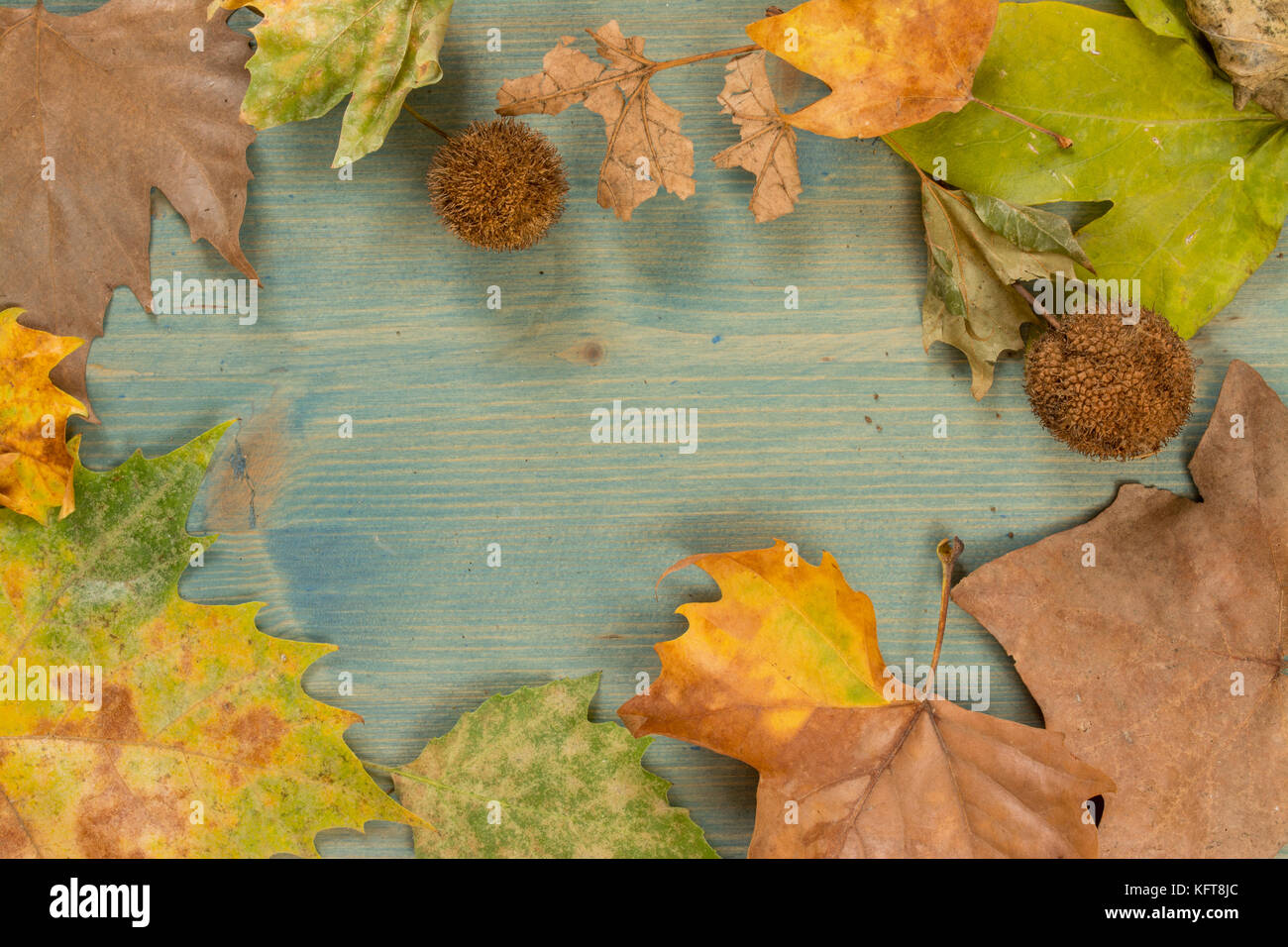 Autumn leaves over wooden background with copy space Stock Photo - Alamy