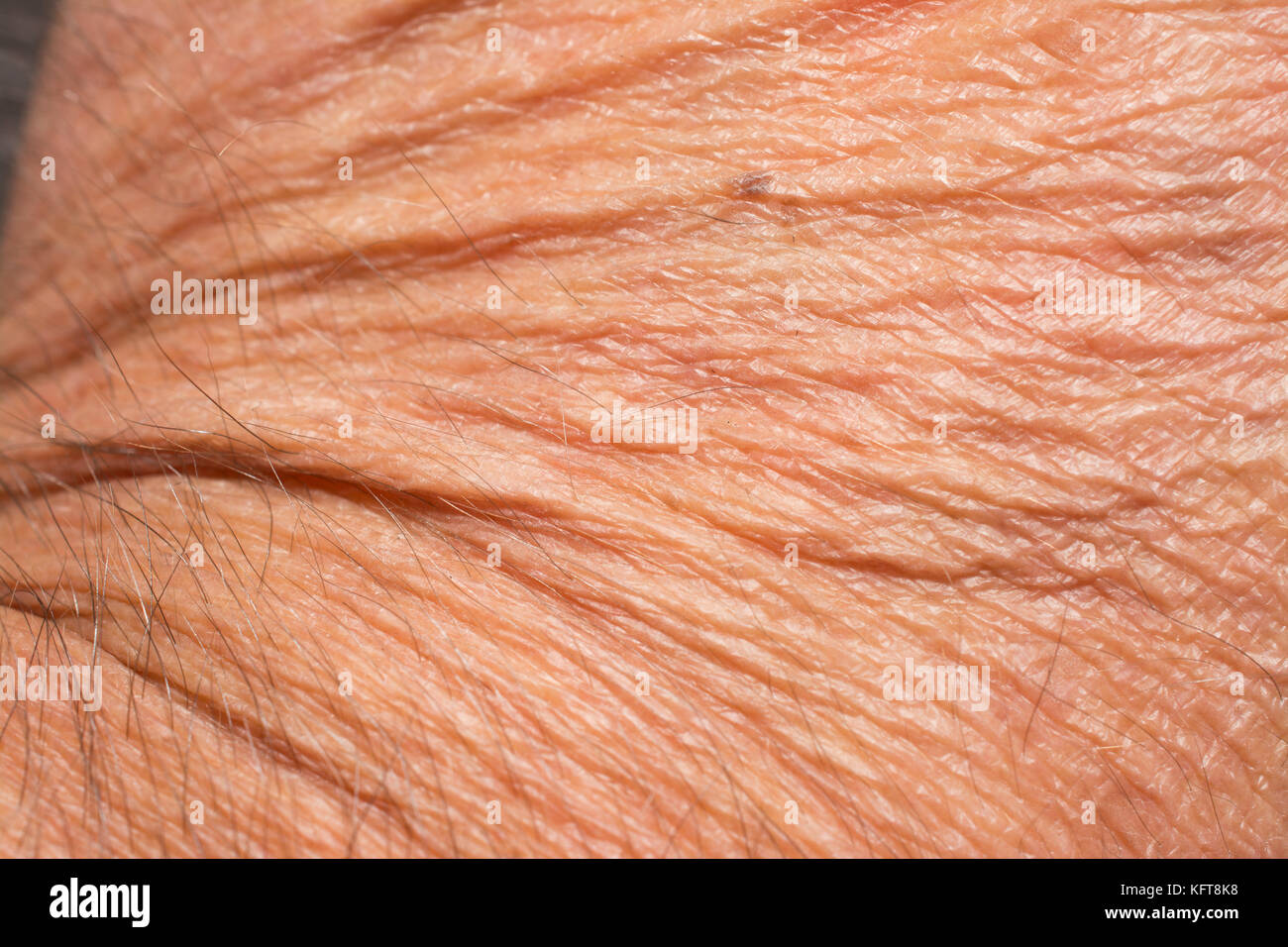 Human Body Skin Textures