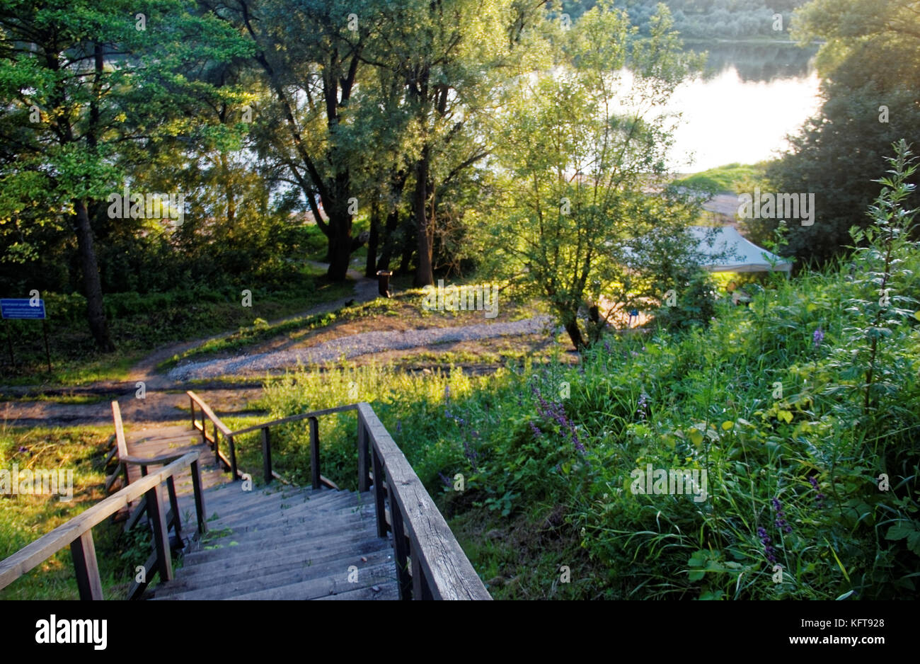 Countryside step plant hi-res stock photography and images - Alamy
