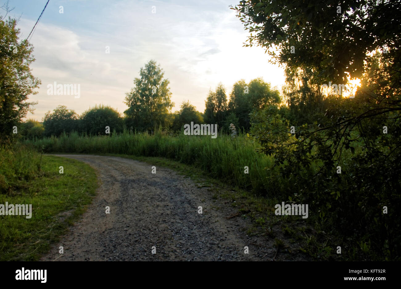 dirt road through forest in summer day, Russia Stock Photo - Alamy