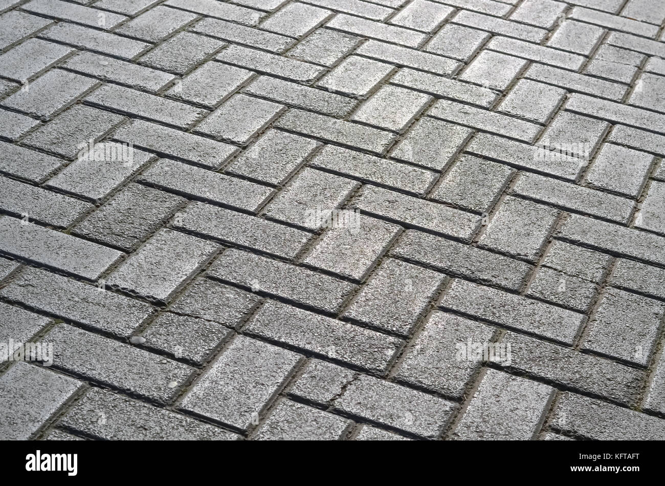 Detail of pedestrian street paved with concrete bricks Stock Photo - Alamy