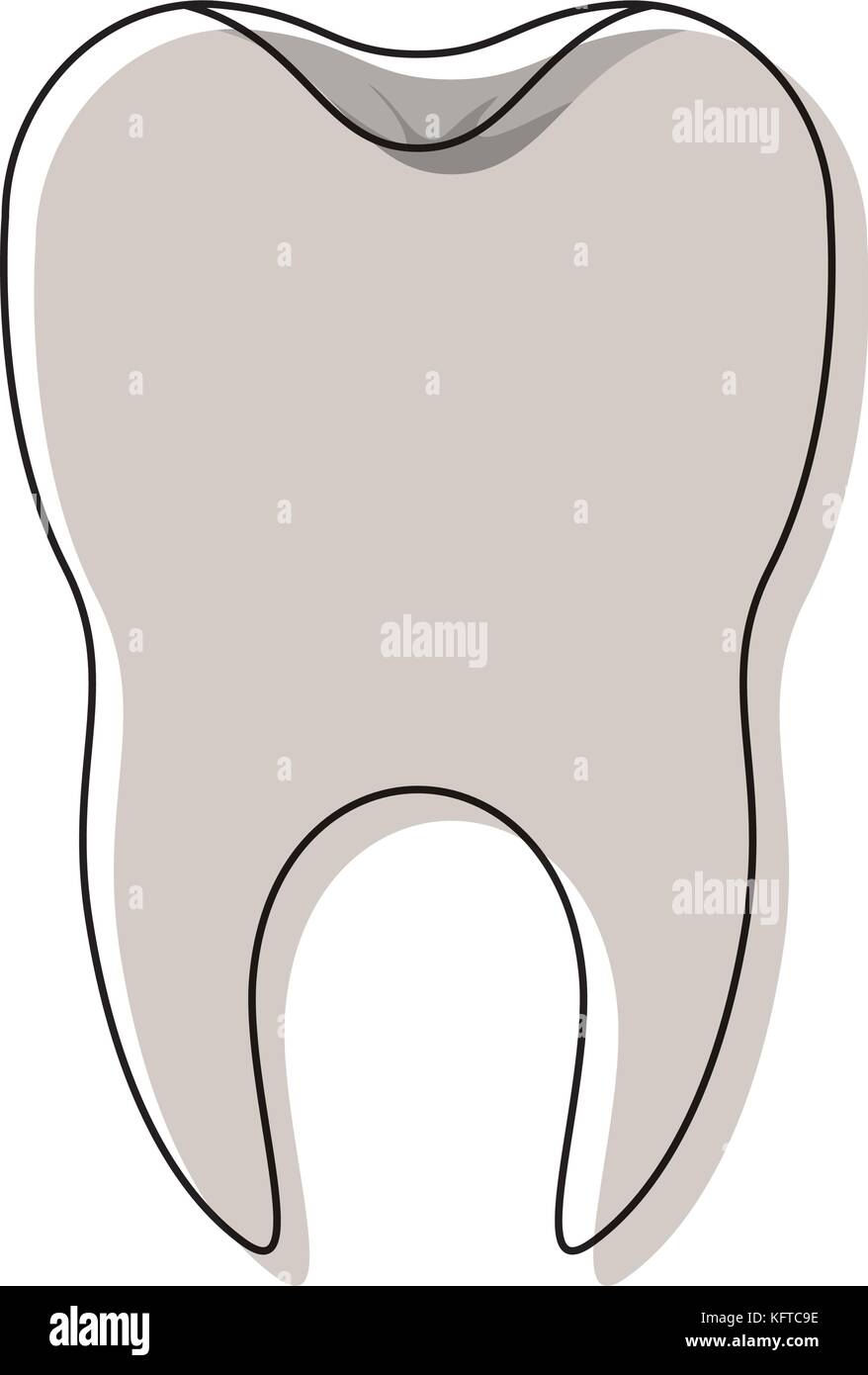 healthy tooth with root in watercolor silhouette Stock Vector Image ...