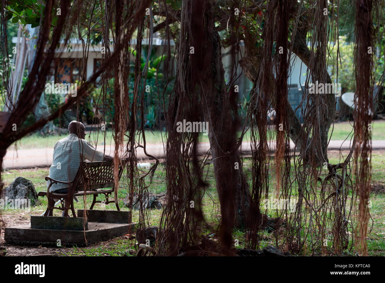 Red bus converted into a cafe, Saint Martin, Mauritius Stock Photo - Alamy