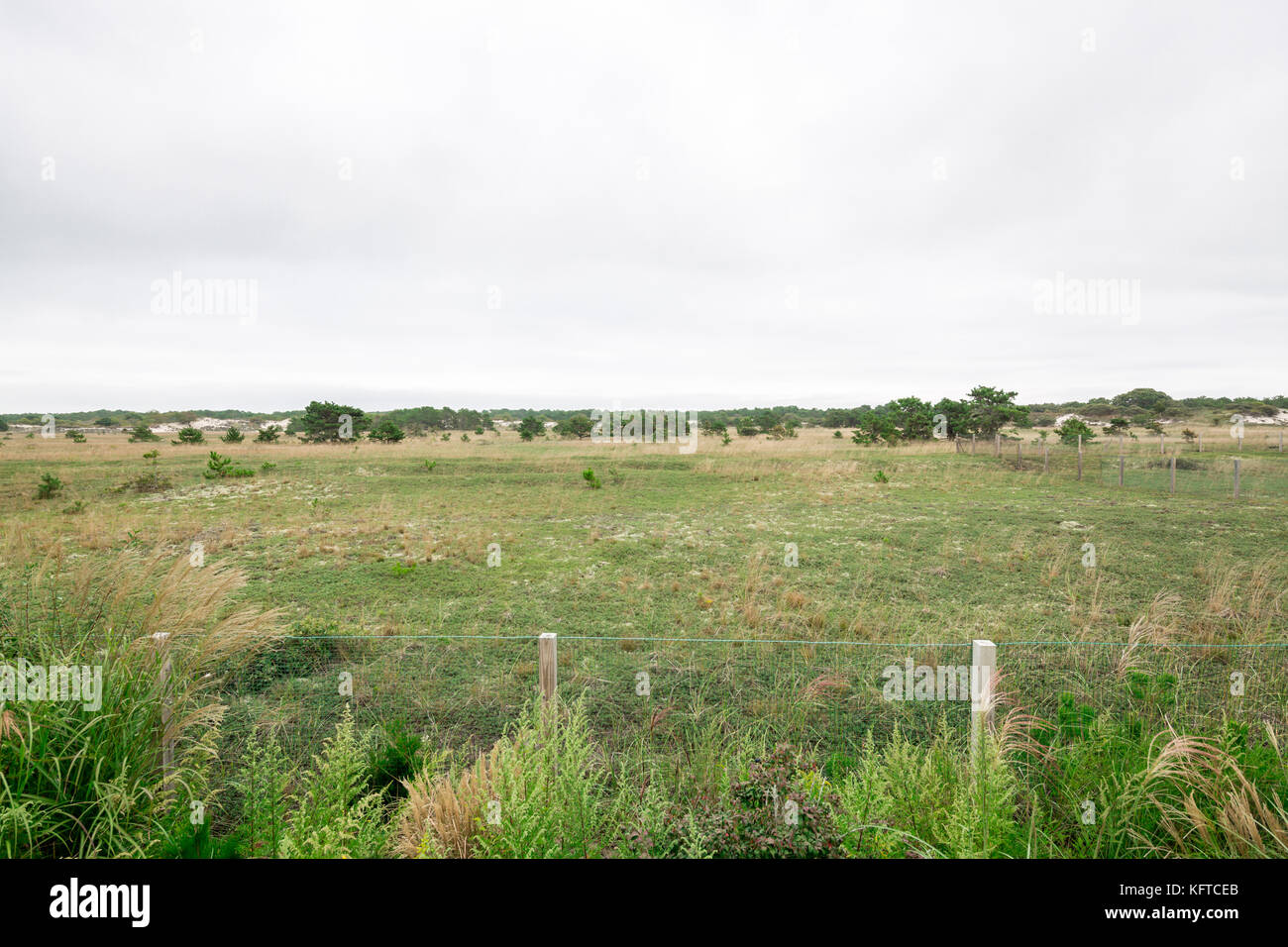 field in bridgehampton, ny Stock Photo - Alamy