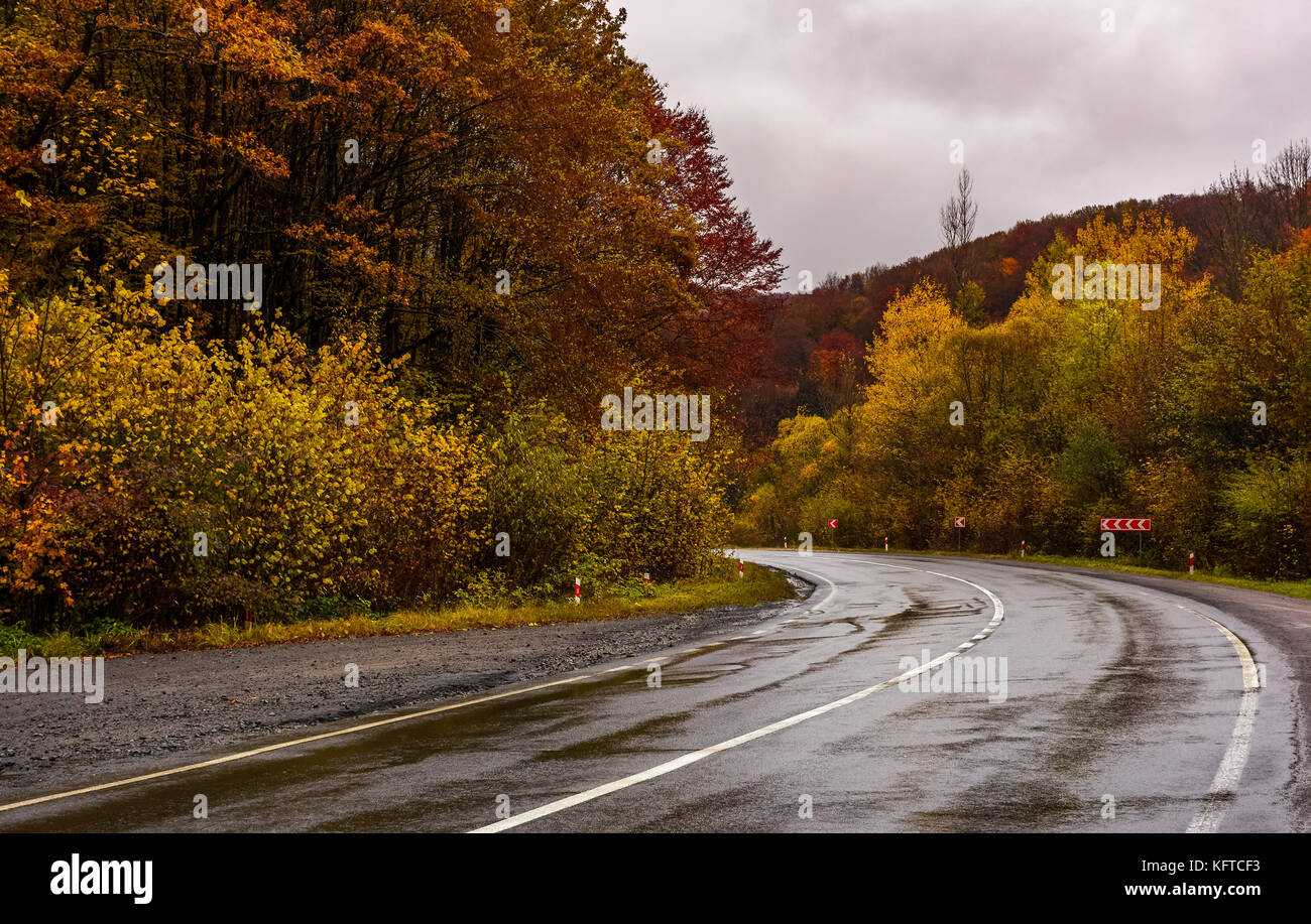 Rainy road in autumn hi-res stock photography and images - Alamy