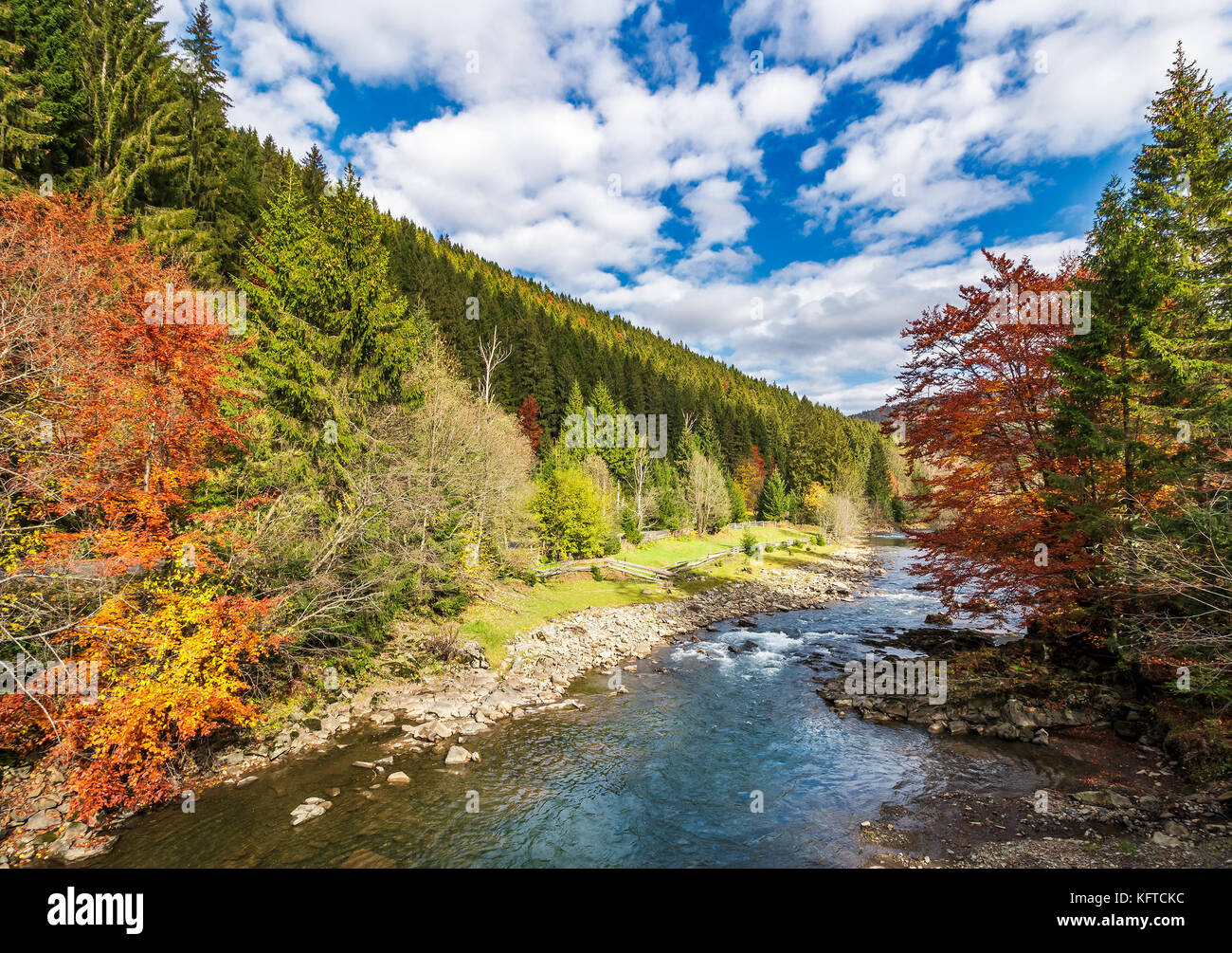 gorgeous autumn landscape in mountains. small river flows through rural ...