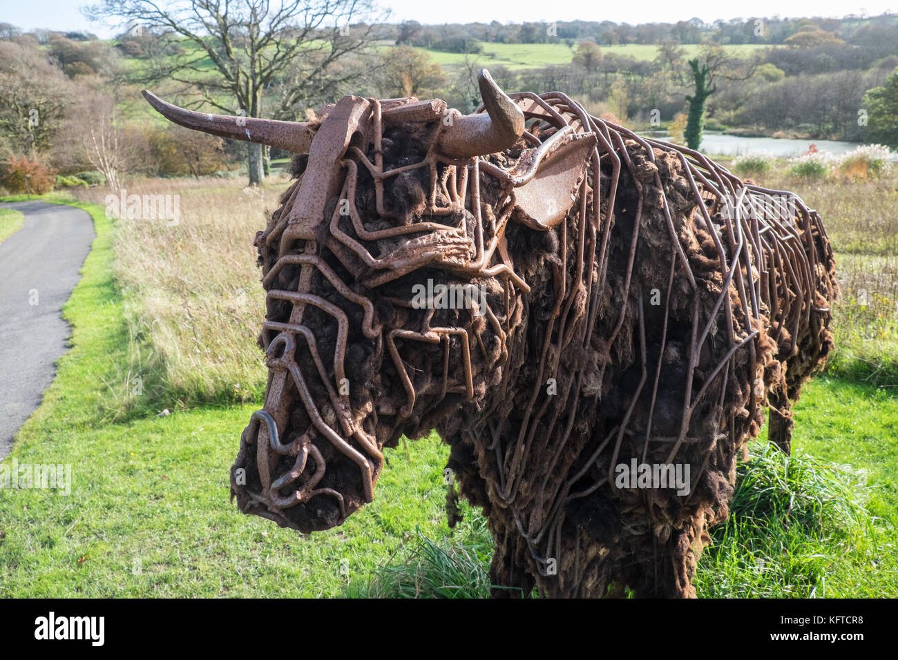 In the Wild Garden, is ‘Tarw’ the Welsh Black bull, sculpture,by Sally ...